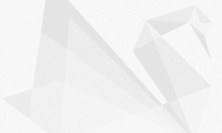 The Empire As Junkyard Dog